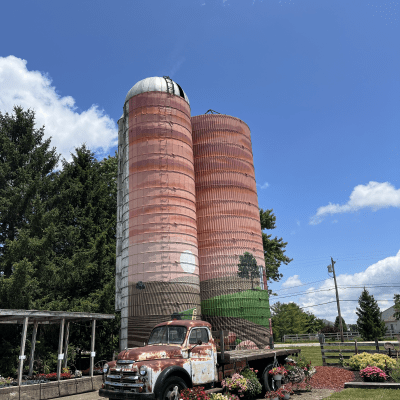 Spending an Afternoon at Barn-N-Bunk