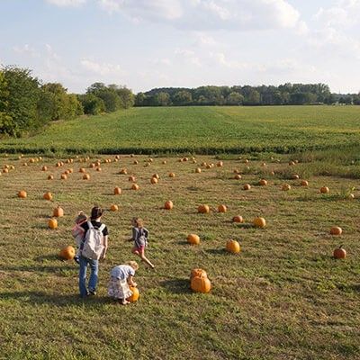 8 Perfect Pumpkin Patches in Ohio